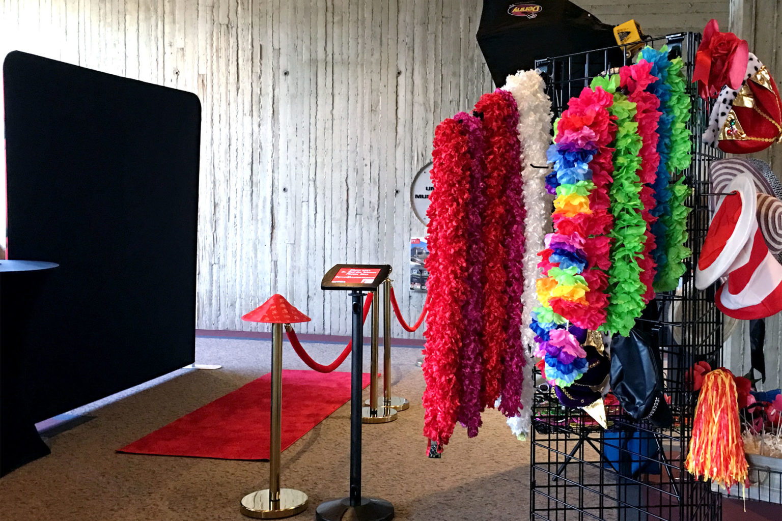 Plush Wedding Experience Photo Booth Package - Smiling Dog Entertainment